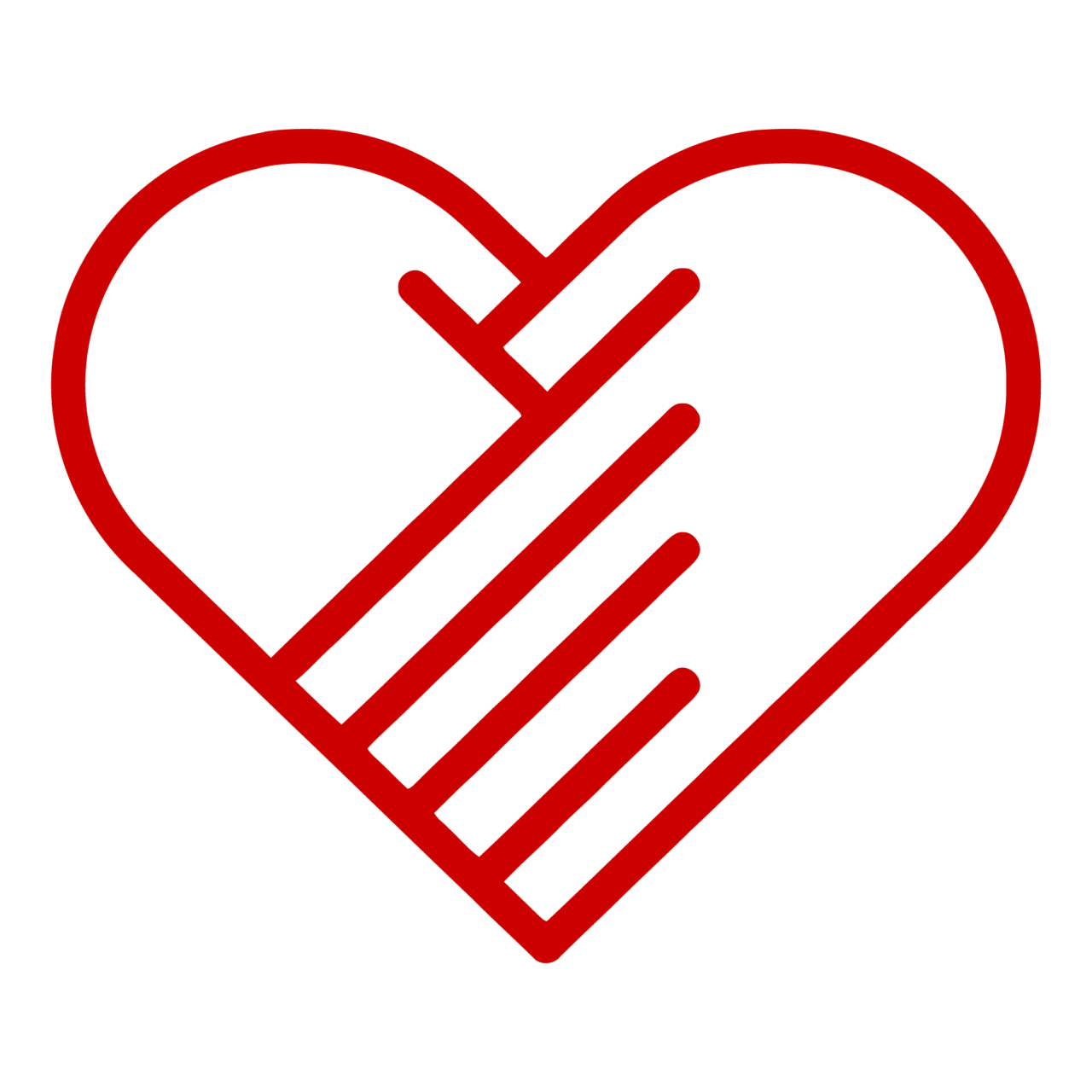 Dr. Rasheed Zaid | Vital Heart & Vein - Cardiologist